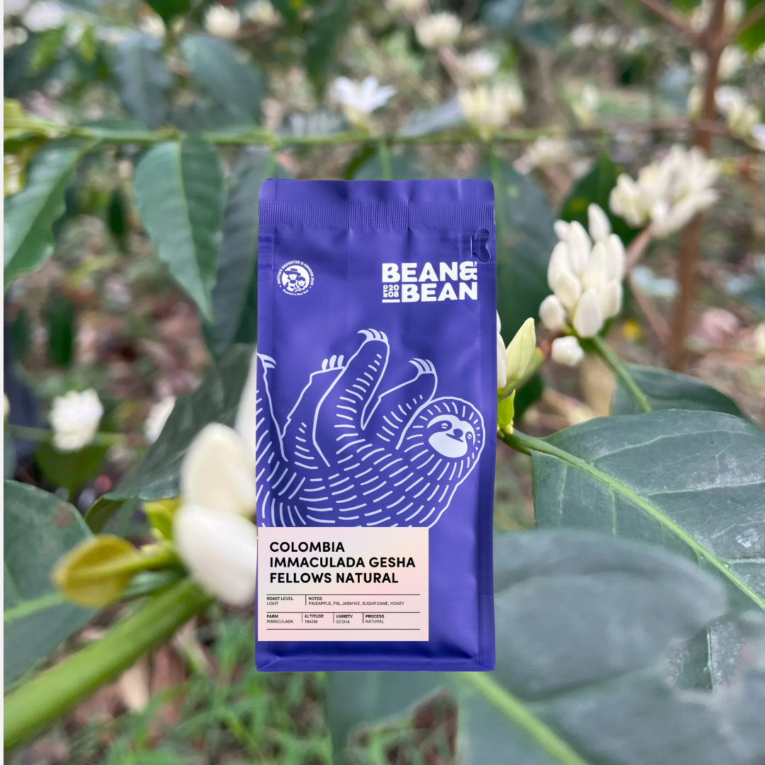 Colombia Immaculada Gesha Natural – Bean & Bean Coffee Roasters