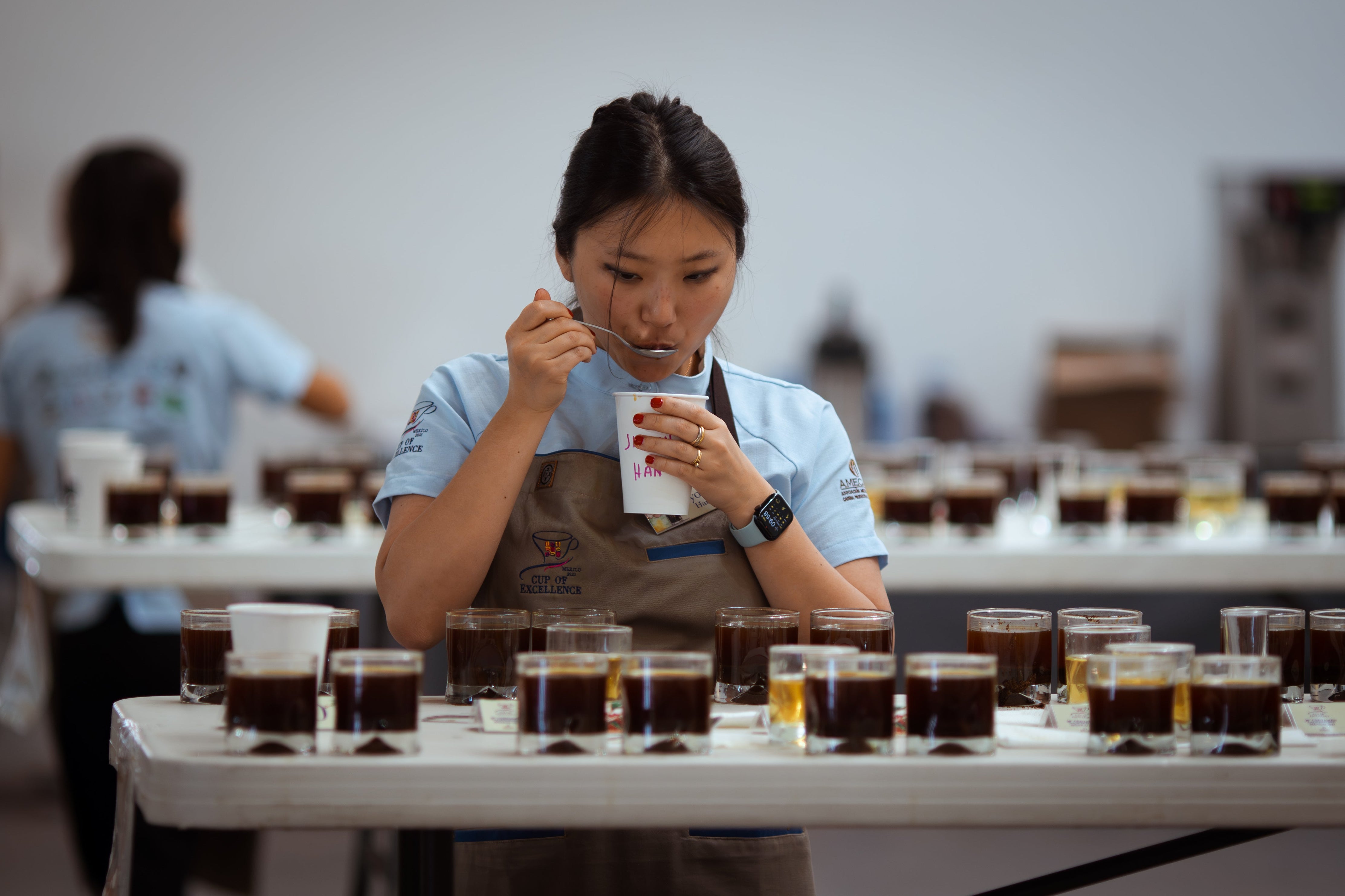 What is a Q Grader and How Do You Become One? – Bean & Bean Coffee Roasters