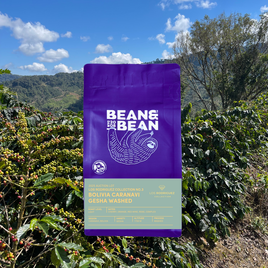 The Difference Between Half Caff & Decaf Coffee – Bean & Bean Coffee Roasters