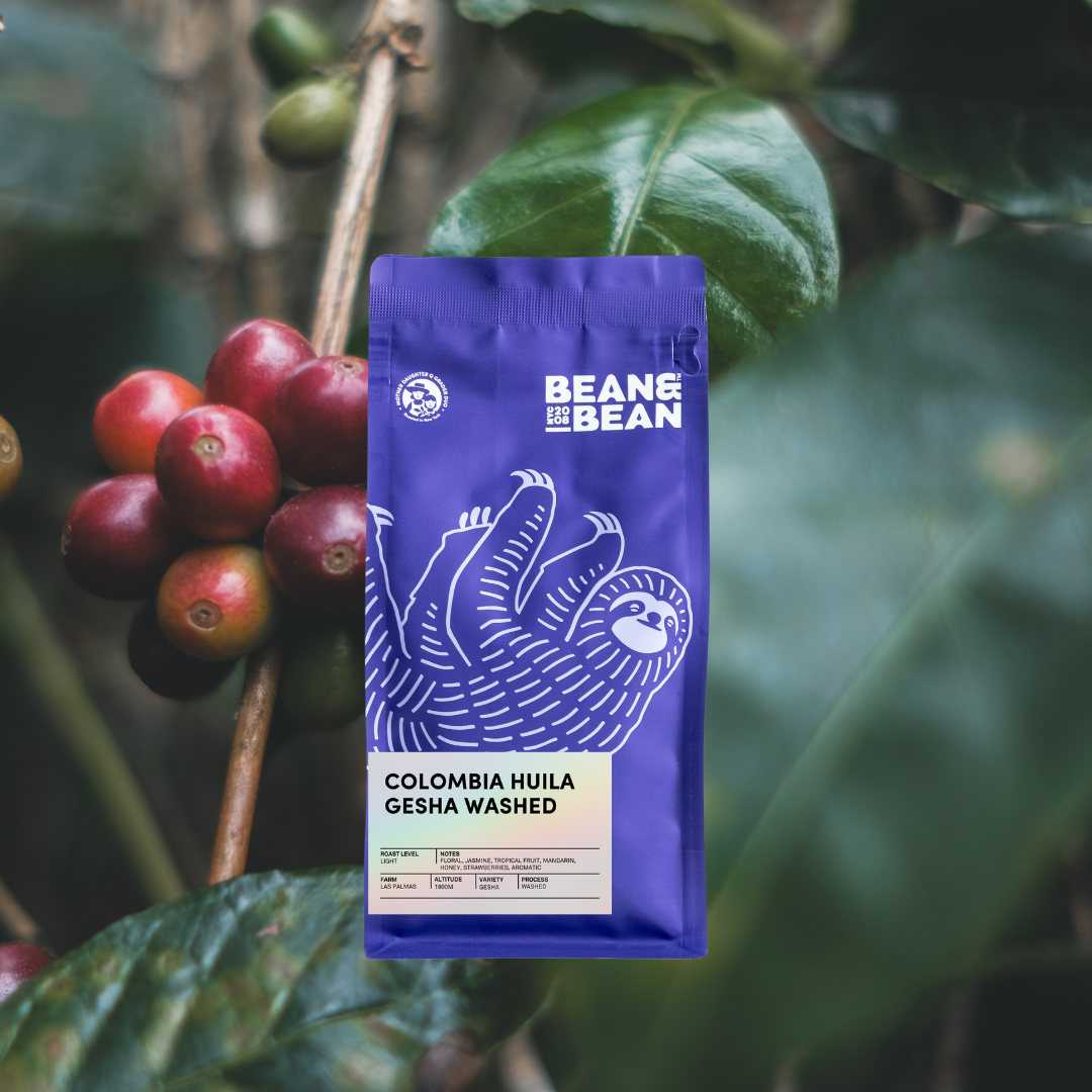Colombia Huila Gesha Washed – Bean & Bean Coffee Roasters
