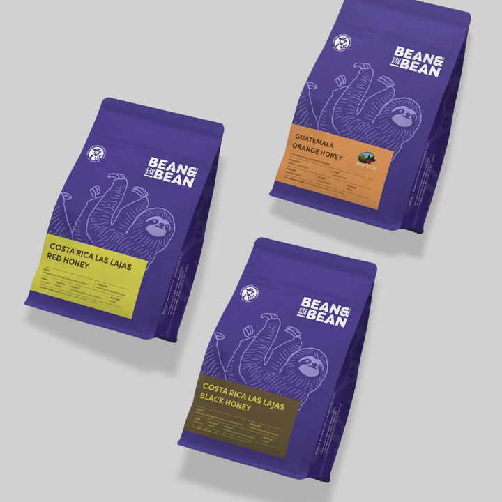 Bean & Bean Coffee Roasters: New York's Favorite Coffee