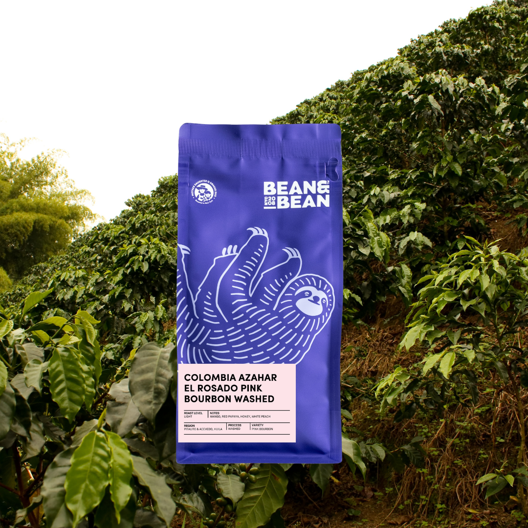 Colombia Azahar El Rosado Washed Pink Bourbon – Bean & Bean Coffee Roasters